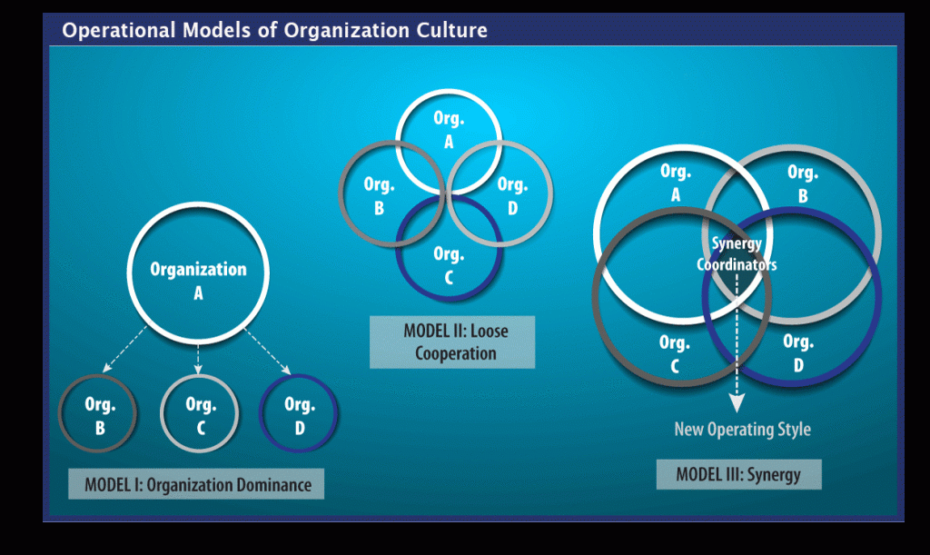 Intercultural Teambuilding | Tucker International Global Talent Development